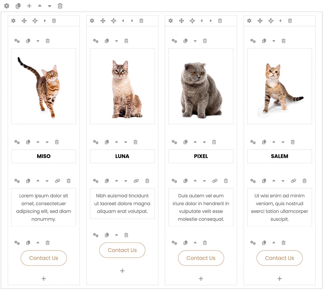 Cats Joomla Template - Hot Themes