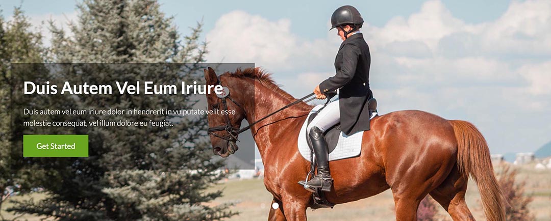 Horses - Horse Riding Joomla Template - Hot Themes
