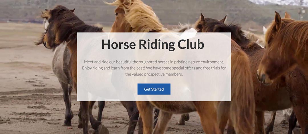 Horses - Horse Riding Joomla Template - Hot Themes